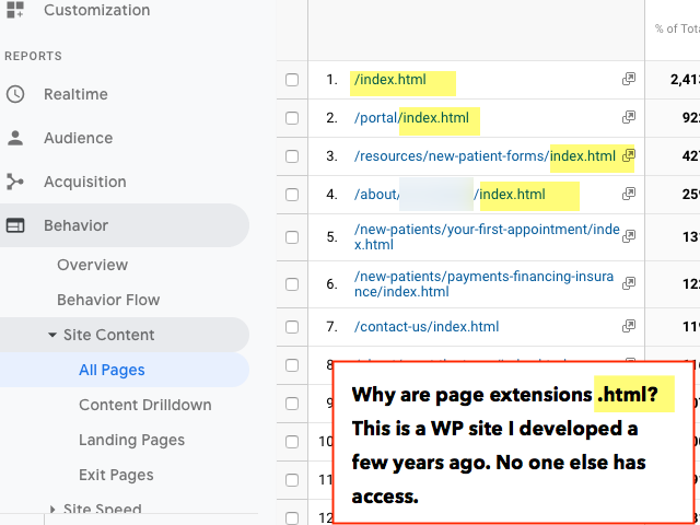 Weird URLs in Google Analytics | Organic SEO | Local Search Forum